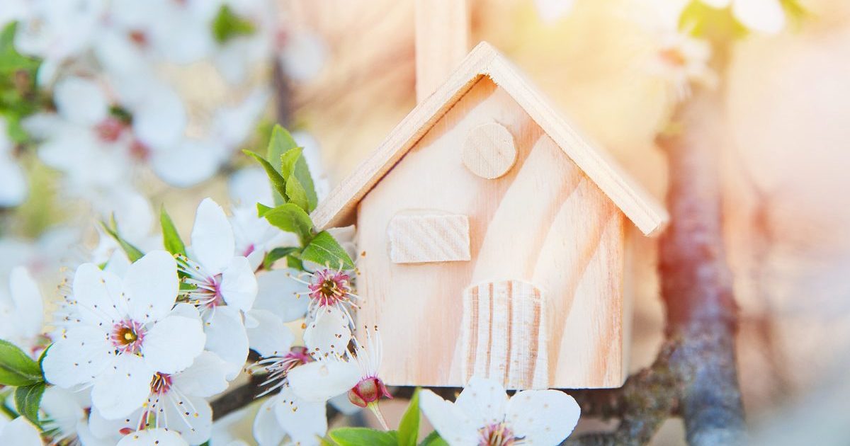 Our Top Tips to Get Your Home Ready for Spring | Reggie’s Oil