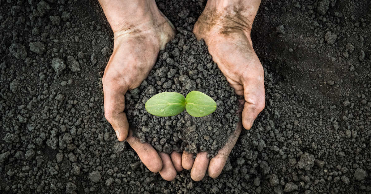 Celebrating Earth Day with Bioheat® Fuel | Reggie’s Oil